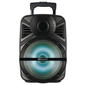 Buy SuperSonic® 12” Portable Bluetooth Speaker with True Wireless ...