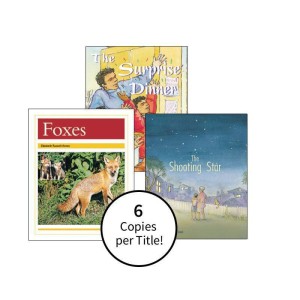 Buy Rigby PM Collection Story & Nonfiction Books -Class Pack By Level ...